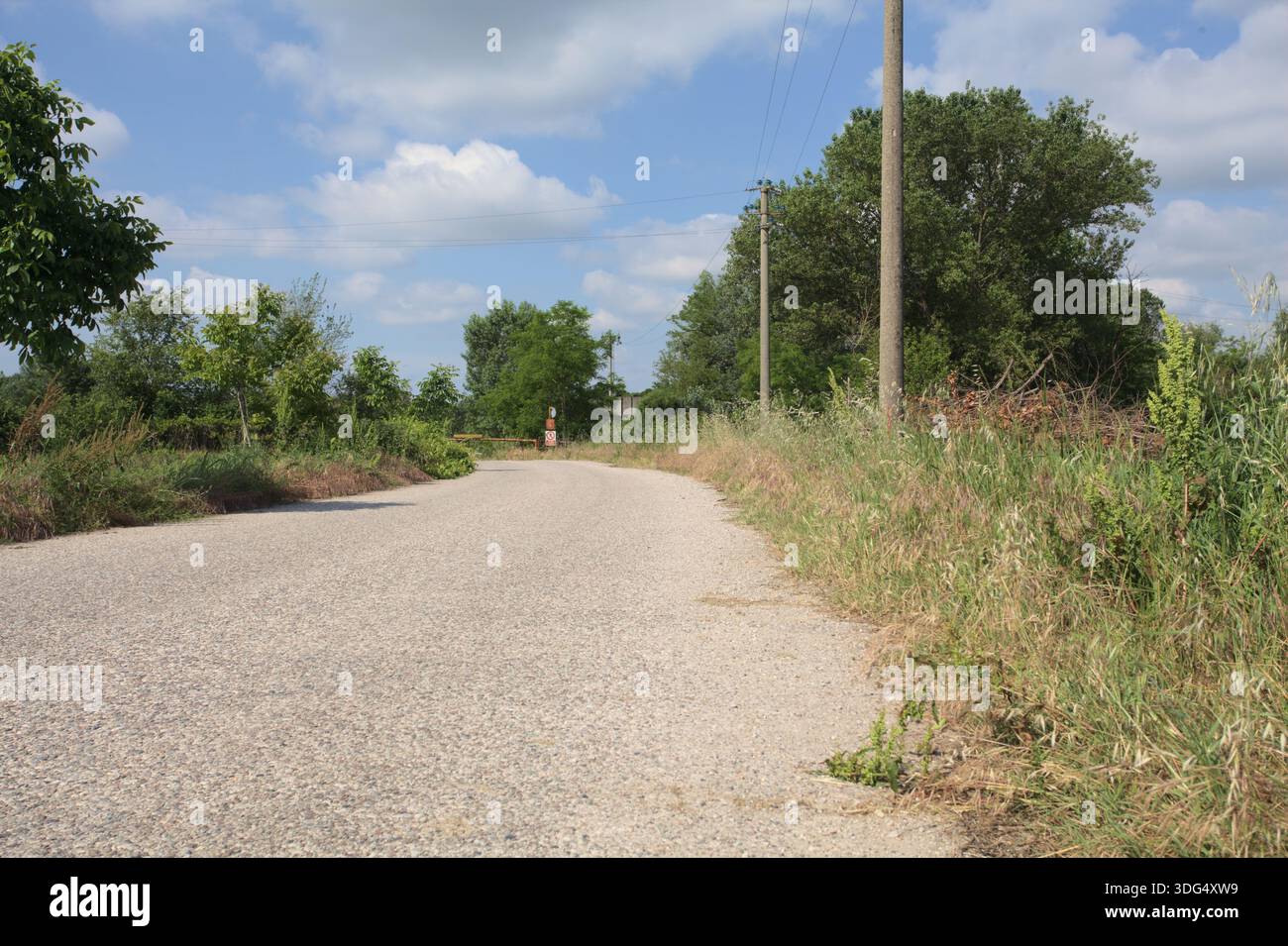 Dirt road between fields with an overhead power line by its edge ...