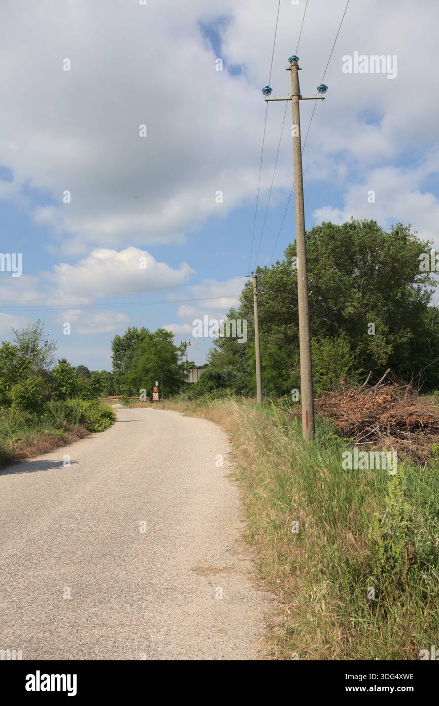 Dirt road between fields with an overhead power line by its edge ...