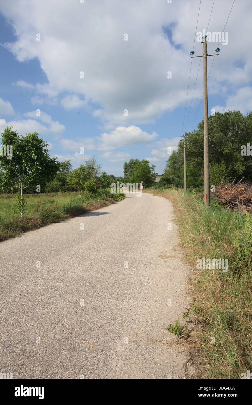 Dirt road between fields with an overhead power line by its edge ...