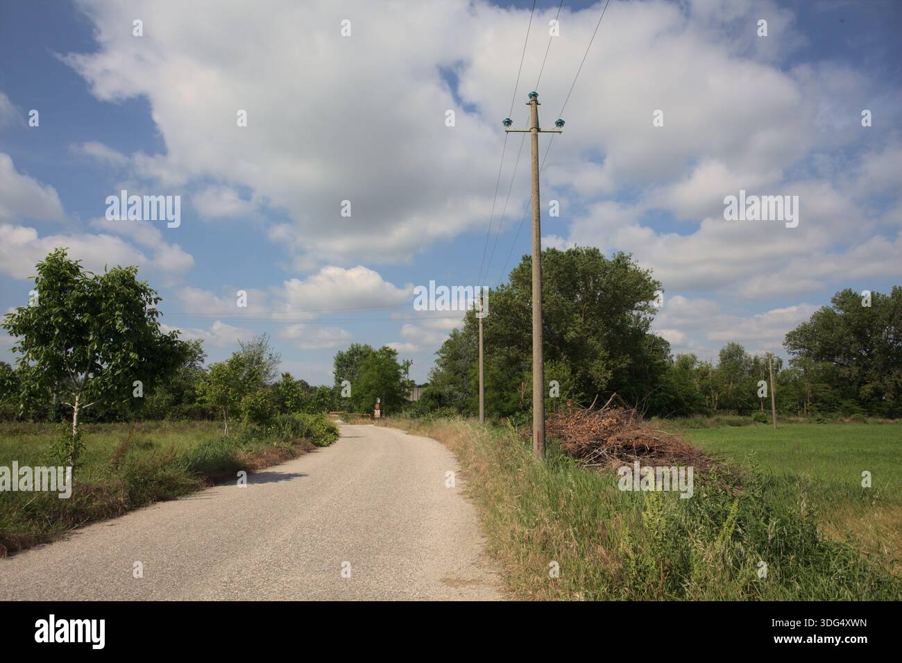 Dirt road between fields with an overhead power line by its edge ...