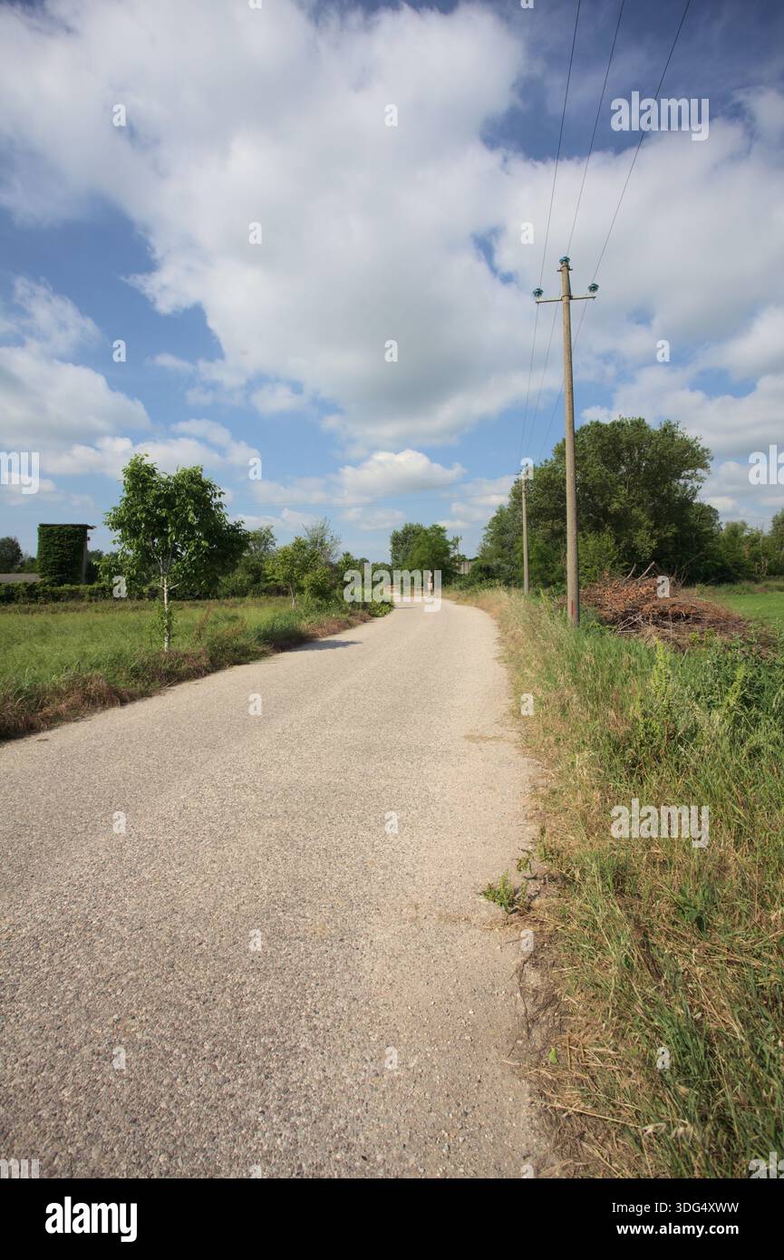 Dirt road between fields with an overhead power line by its edge ...