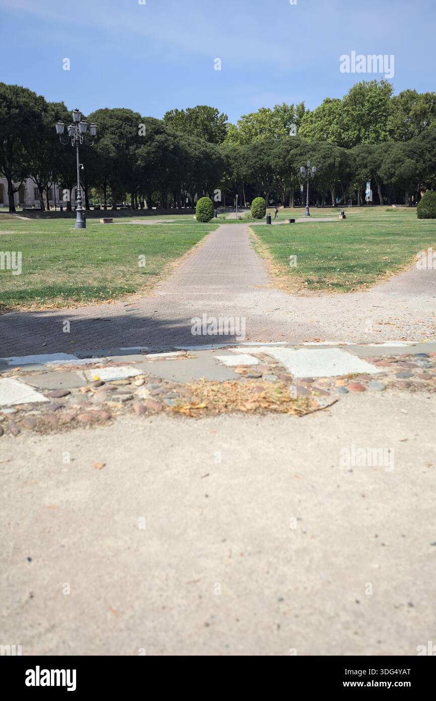 Opening forming a square with trails and bushes bordered by trees on it ...