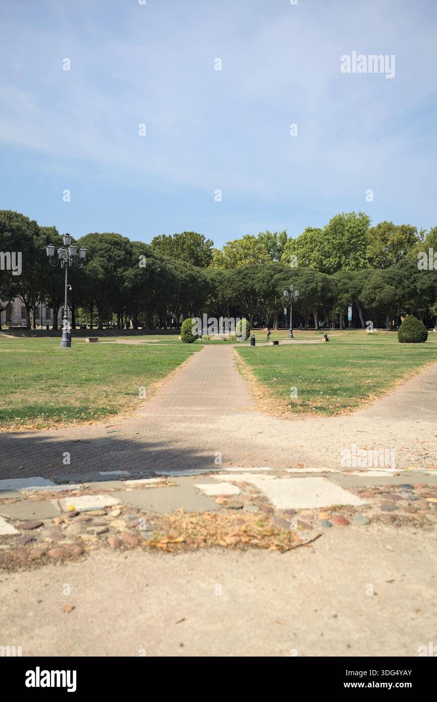 Opening forming a square with trails and bushes bordered by trees on it ...
