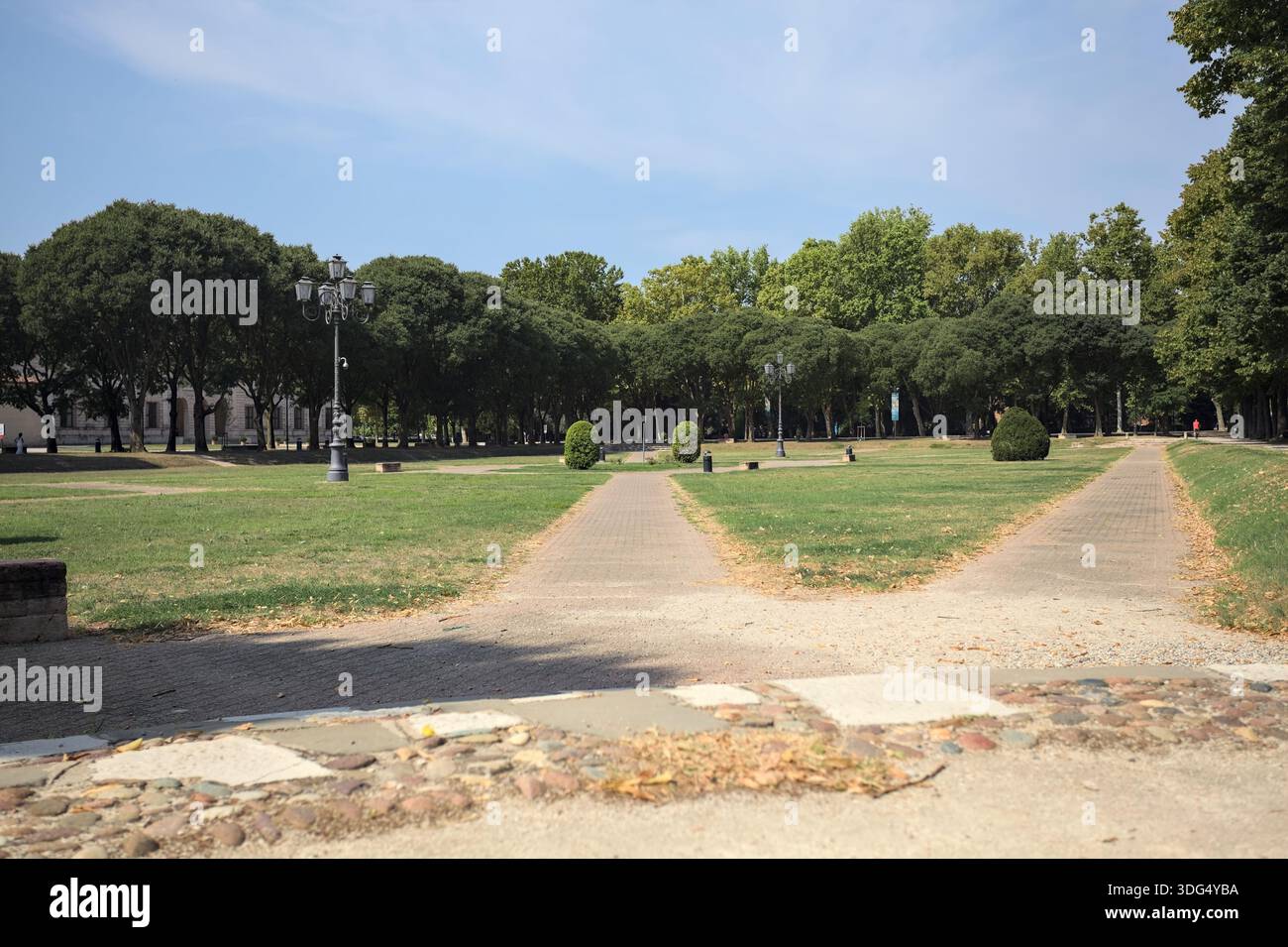 Opening forming a square with trails and bushes bordered by trees on it ...
