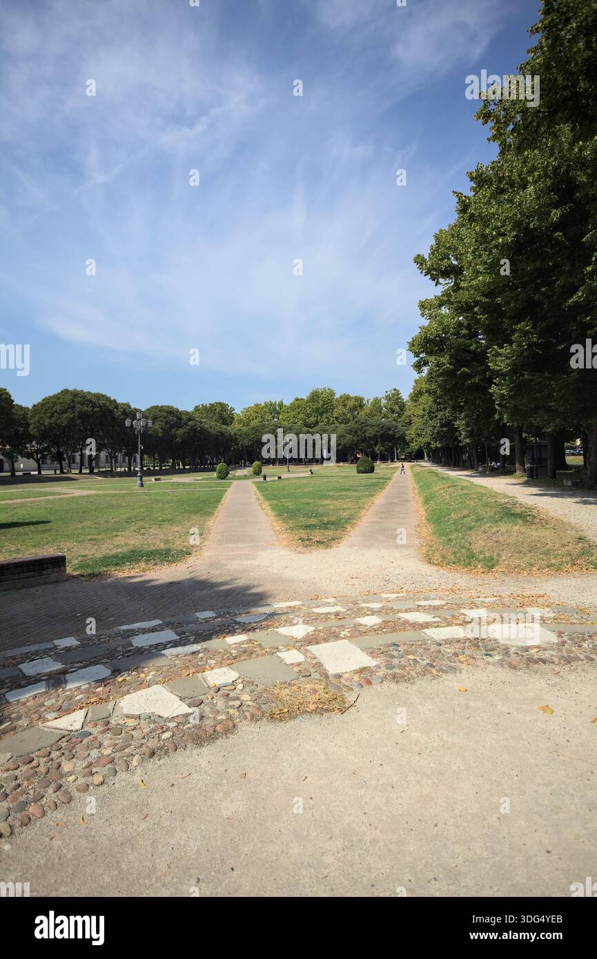 Opening forming a square with trails and bushes bordered by trees on it ...