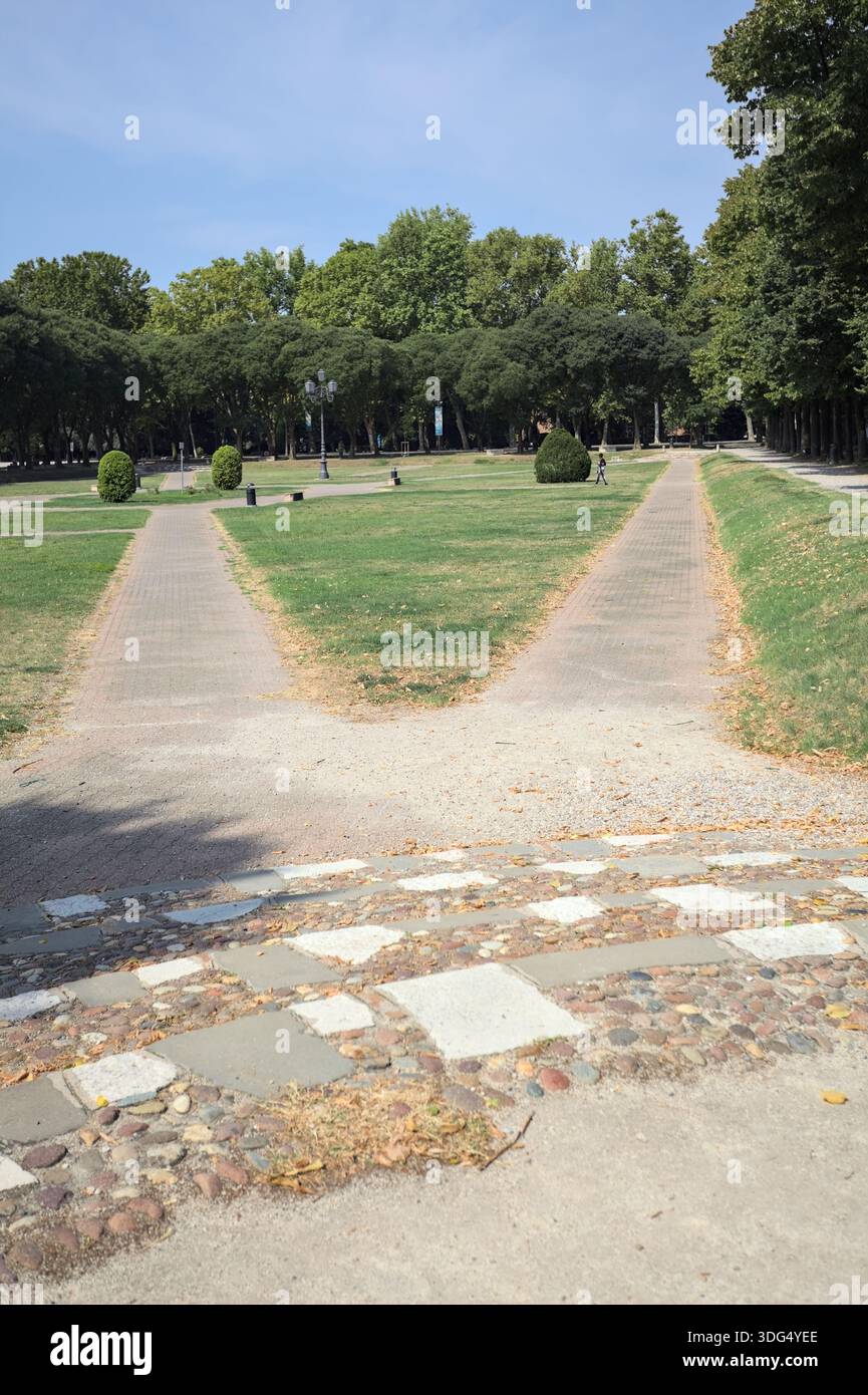 Opening forming a square with trails and bushes bordered by trees on it ...