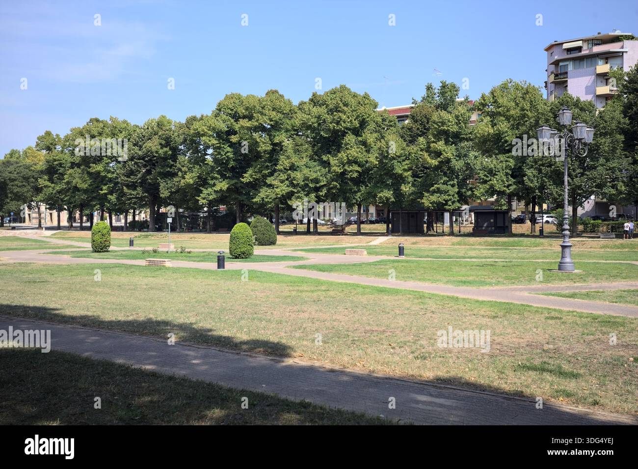 Opening forming a square with trails and bushes bordered by trees on it ...