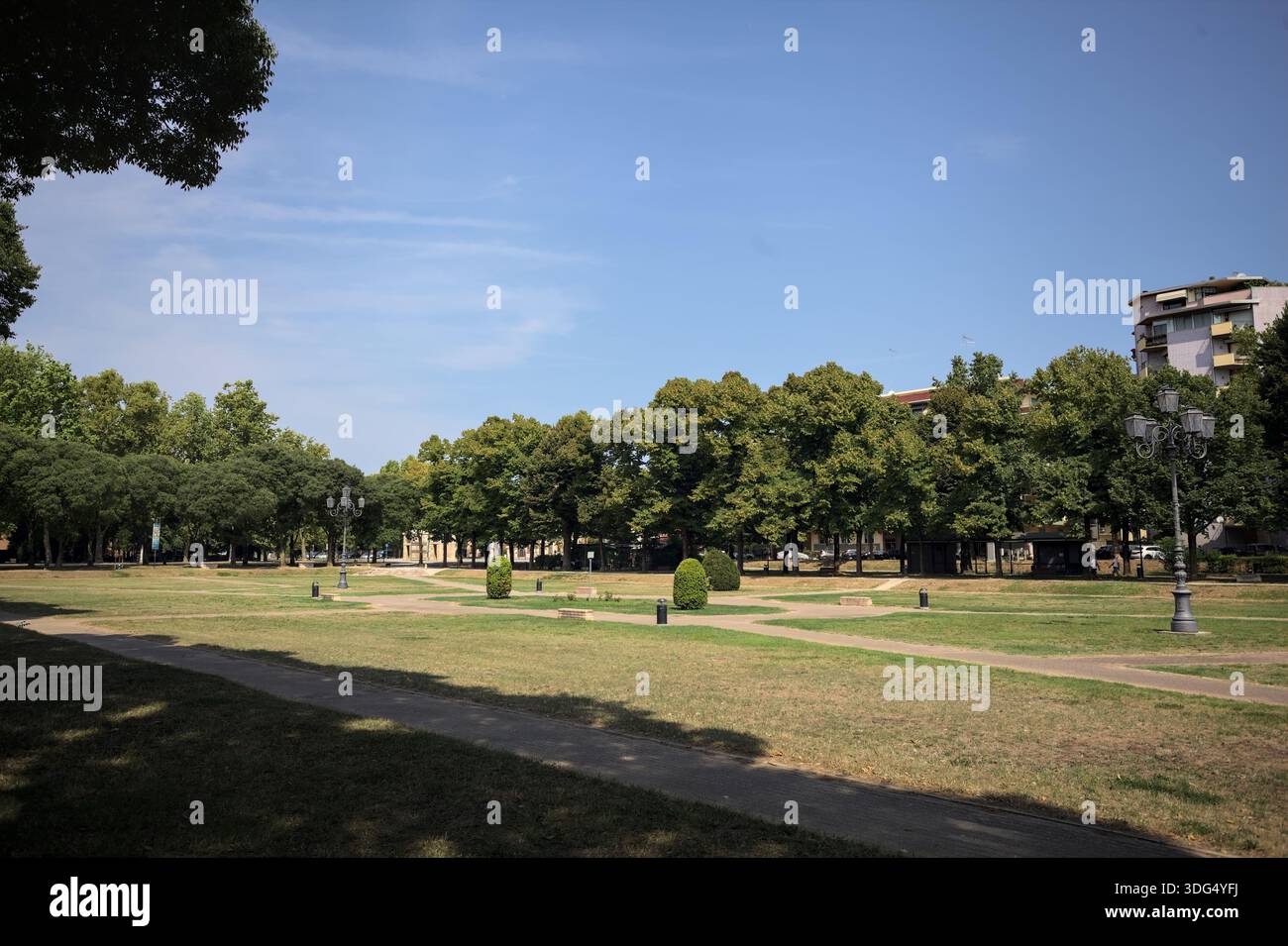 Opening forming a square with trails and bushes bordered by trees on it ...