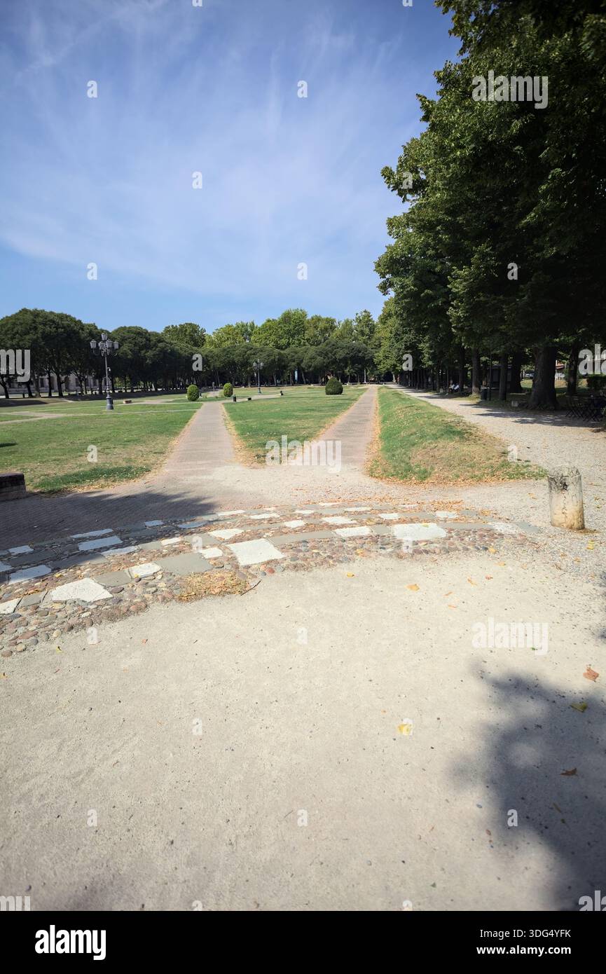 Opening forming a square with trails and bushes bordered by trees on it ...