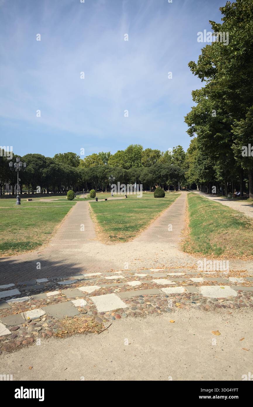 Opening forming a square with trails and bushes bordered by trees on it ...