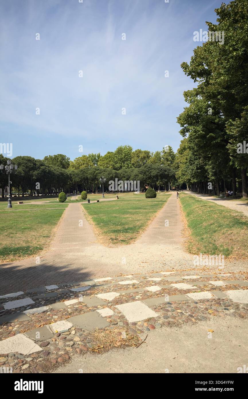 Opening forming a square with trails and bushes bordered by trees on it ...