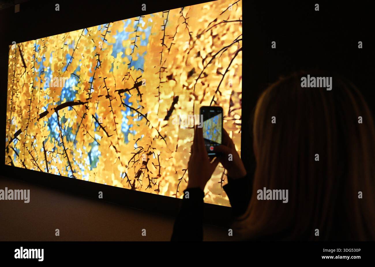 Milan, Preview of the Debora Hirsch, Vanishing Trees exhibition at ...
