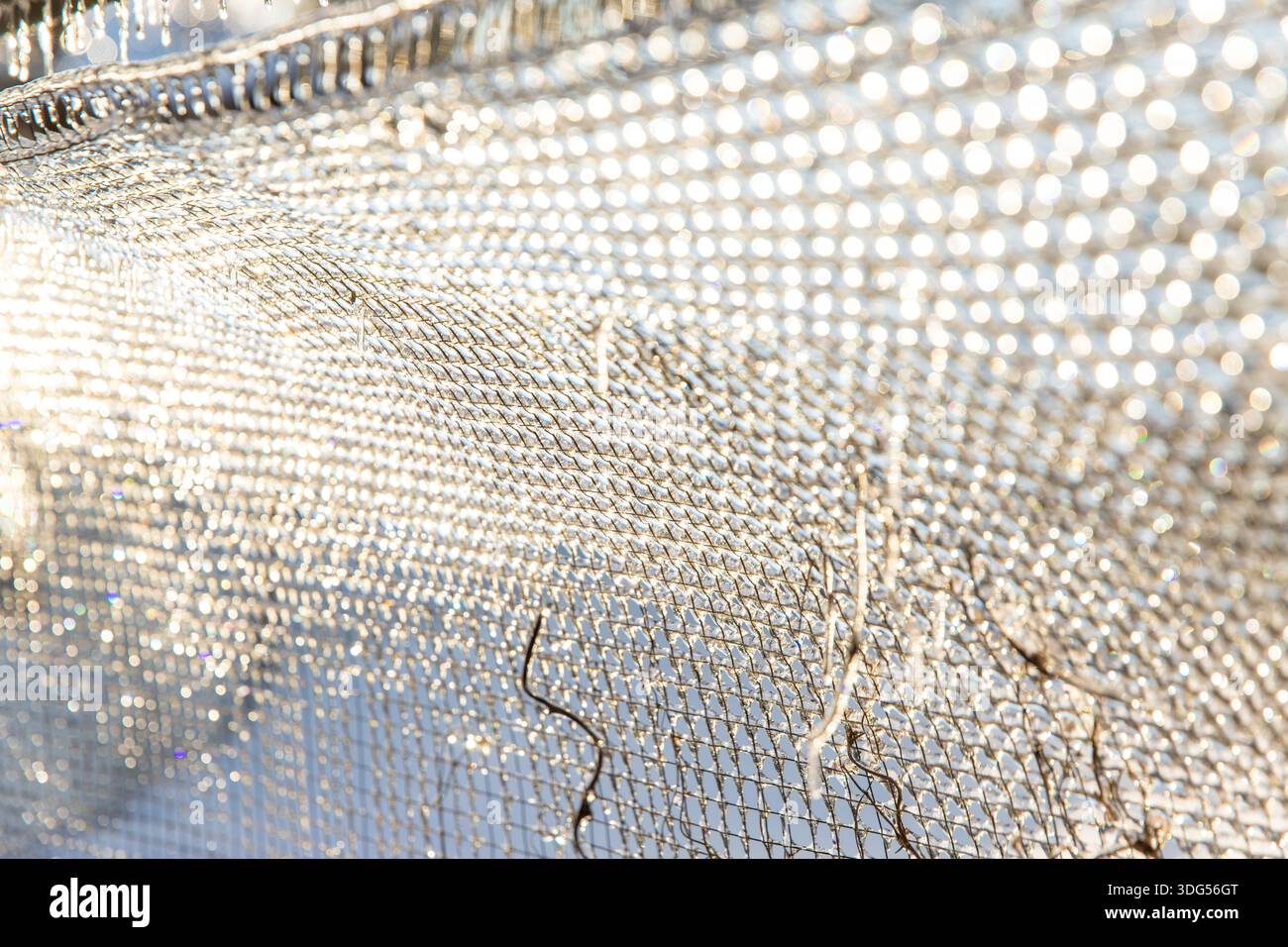 grid frozen in ice. Selective focus. nature Stock Photo - Alamy