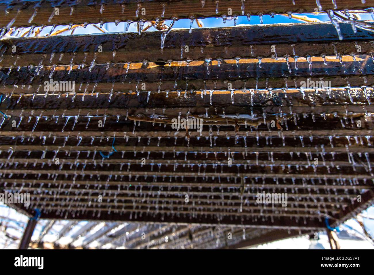 Icicles hang on the roof in winter. Selective focus. nature Stock Photo ...