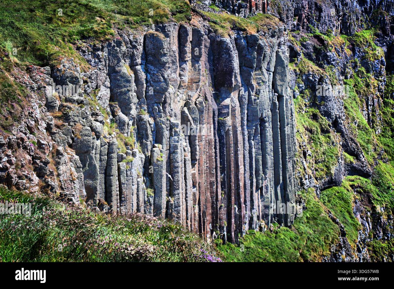Basalt rock columns of Giant's Causeway, natural landmark in Northern ...