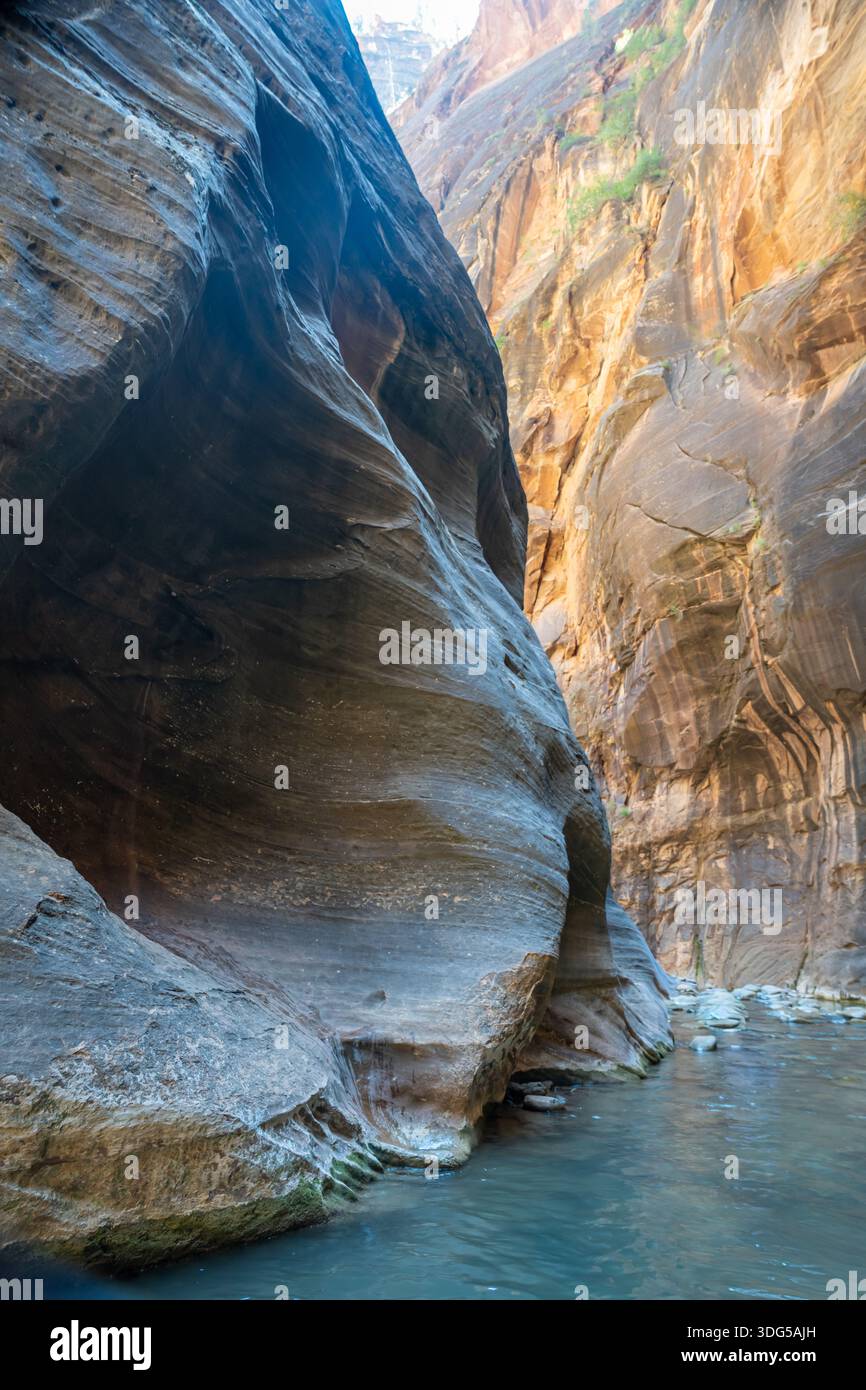 Explore the stunning Narrows of Zion National Park along the Virgin ...