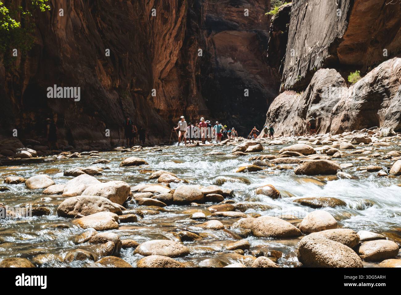 Hiking the Narrows of Zion National Park along the Virgin River at ...