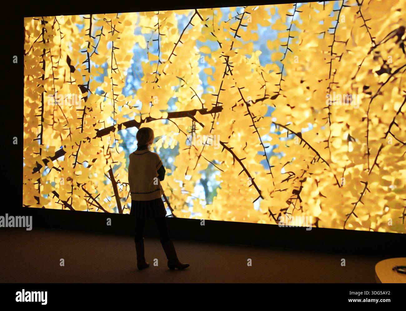 Milan, Preview of the Debora Hirsch, Vanishing Trees exhibition at ...