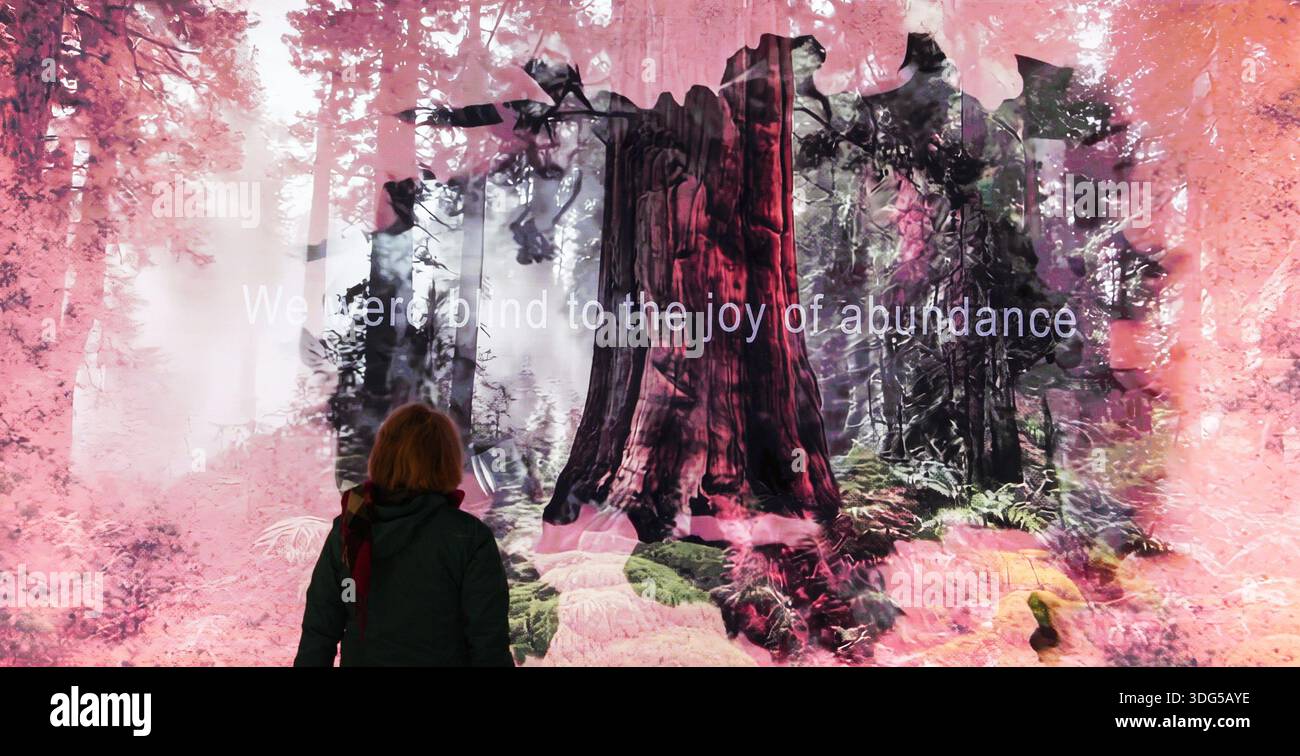 Milan, Preview of the Debora Hirsch, Vanishing Trees exhibition at ...
