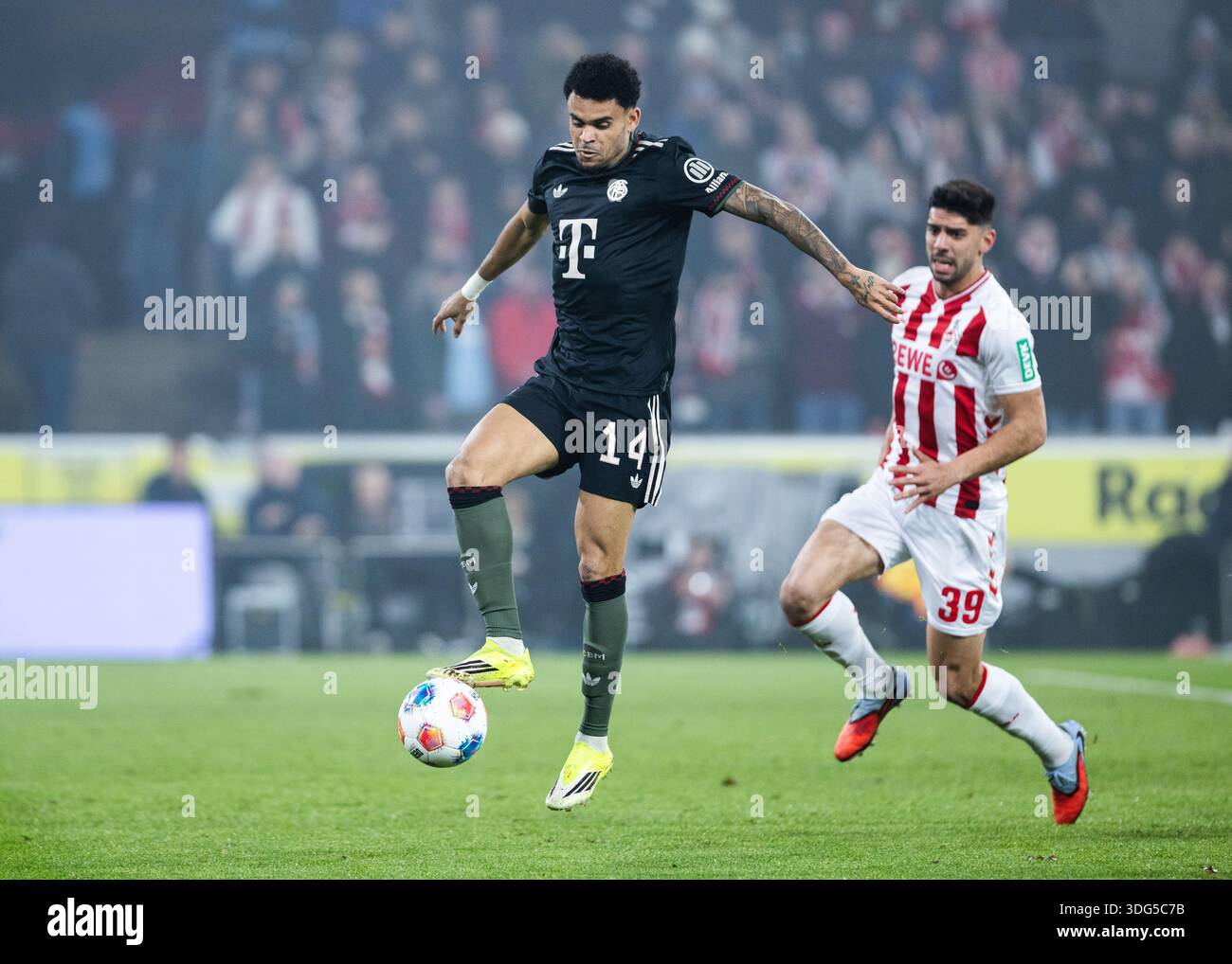 Köln, RheinEnergieStadion, 14.01.2026: Luis Diaz of Muenchen challenges ...