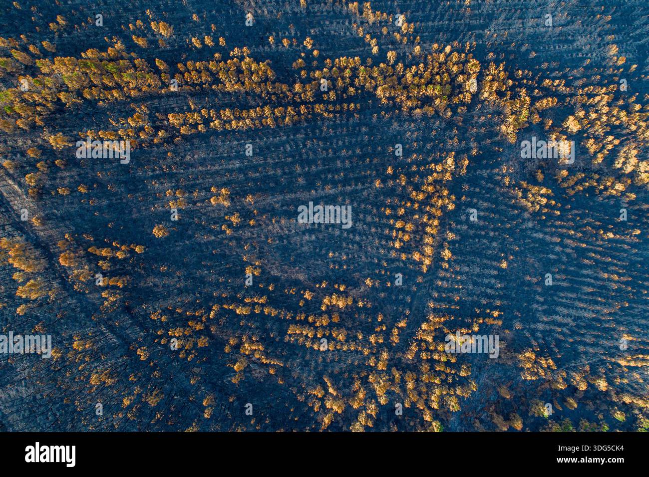 8. Abstract texture of a charred landscape after a natural disaster ...