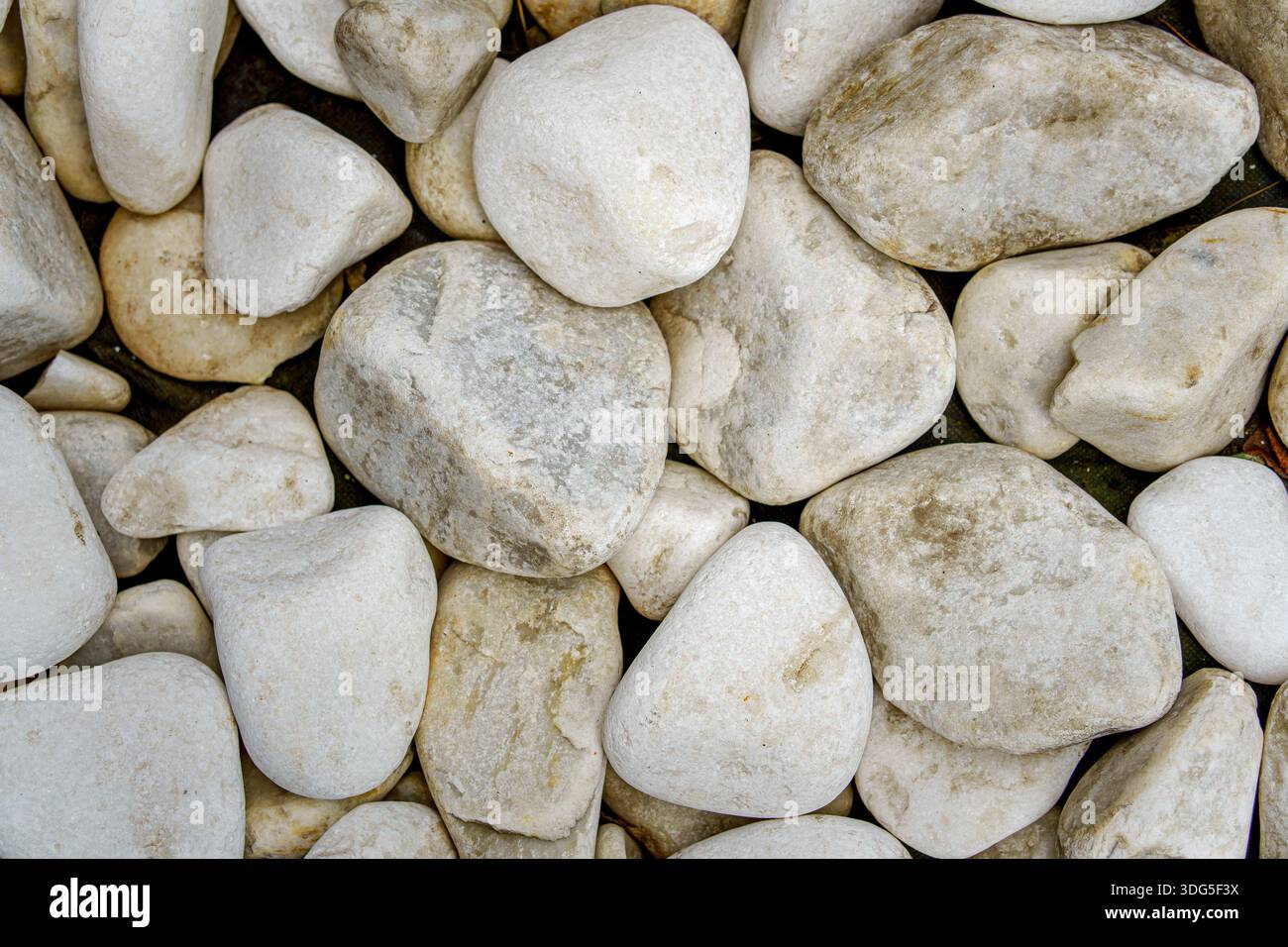 Smooth light-colored stones of various shapes and sizes are closely ...