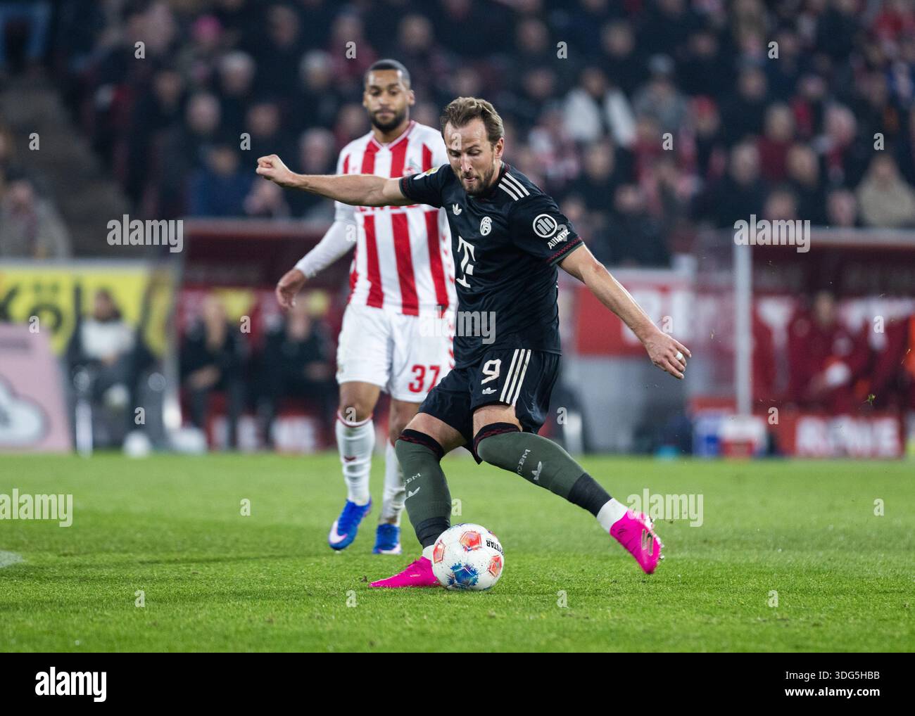 Köln, RheinEnergieStadion, 14.01.2026: Harry Kane of Muenchen kicks the ...