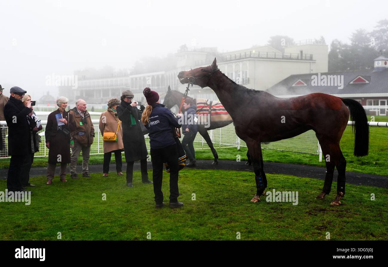 Horses following the CLH Premier Print Maiden Hurdle at Ludlow ...