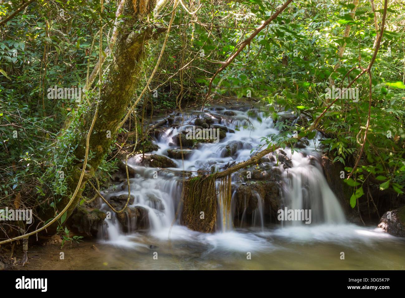 Tourist near amazing waterfall in Brazilian jungle Stock Photo - Alamy