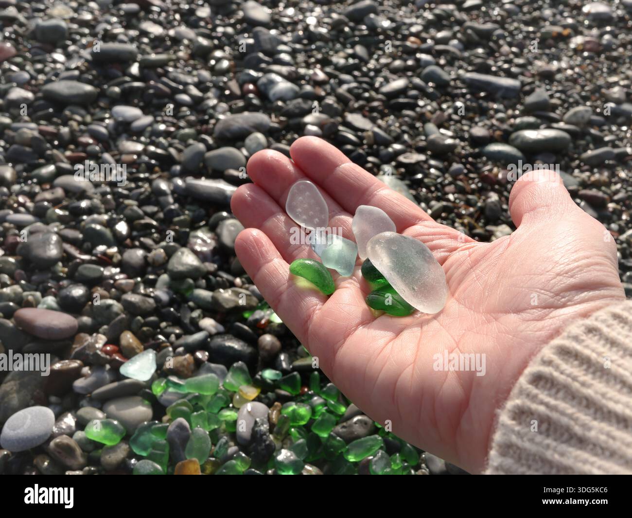 Woman put glass sea pebbles of different colours on shore, beach ...