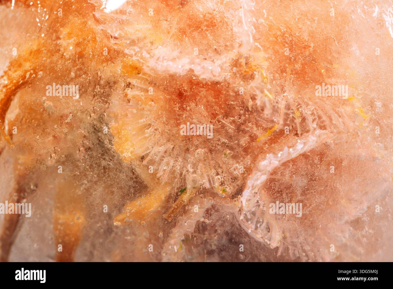 Abstract frozen flower texture inside ice, macro background Stock Photo ...