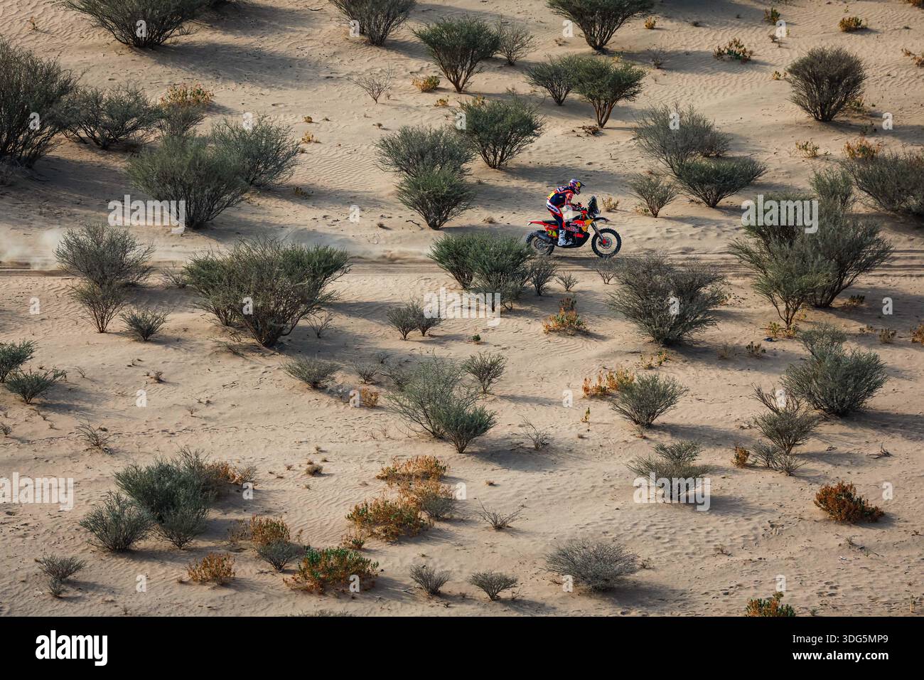 01 SANDERS Daniel (aus), Red Bull KTM Factory Racing, KTM, Rally GP ...