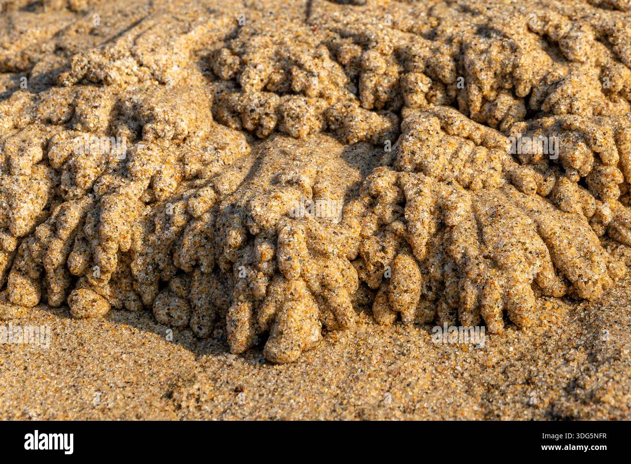 Macro photo of silt / sand forming a small Alluvial Fan on a beach from ...