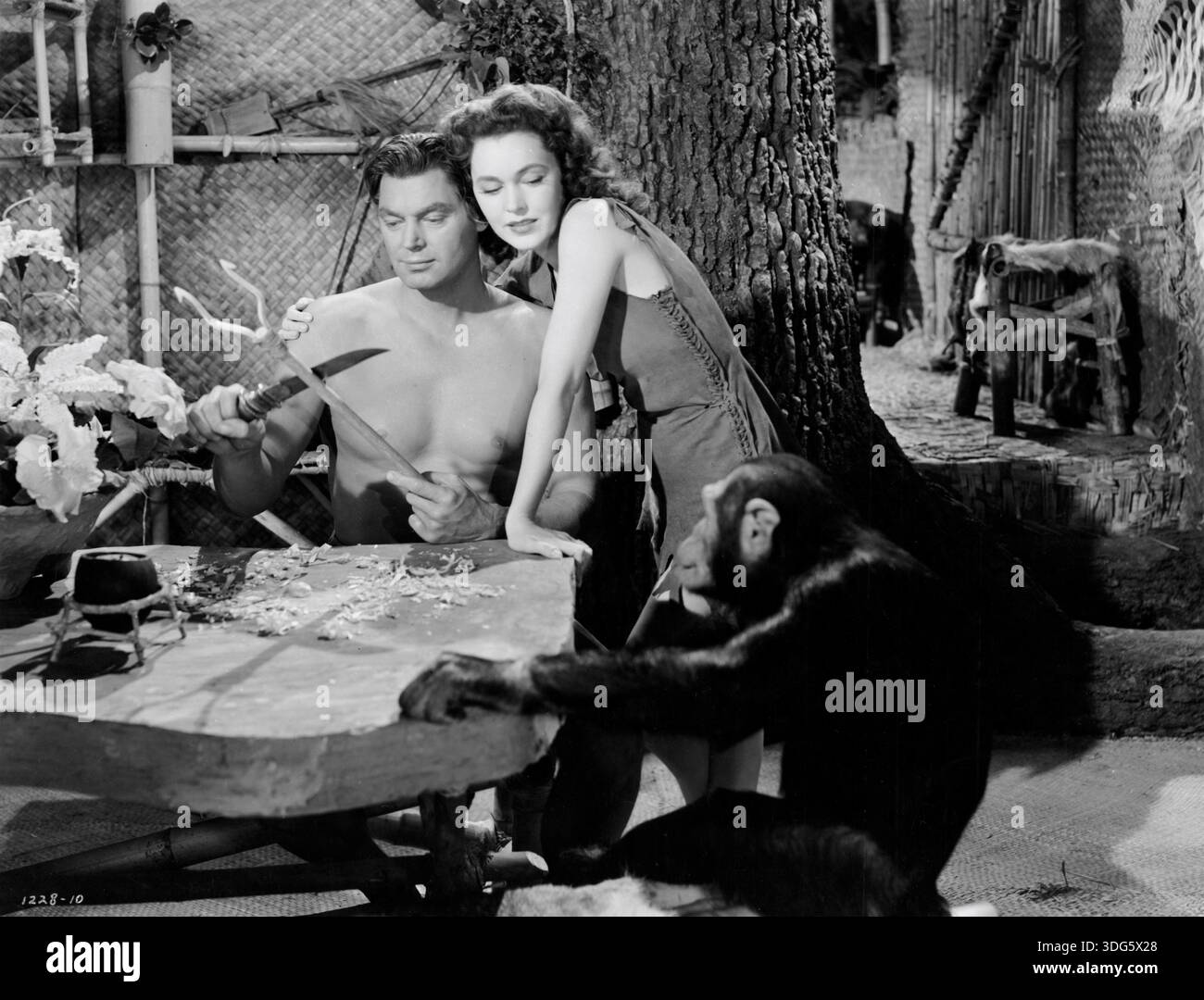 JOHNNY WEISSMULLER MAUREEN O'SULLIVAN and CHEETAH the chimp in TARZAN'S ...