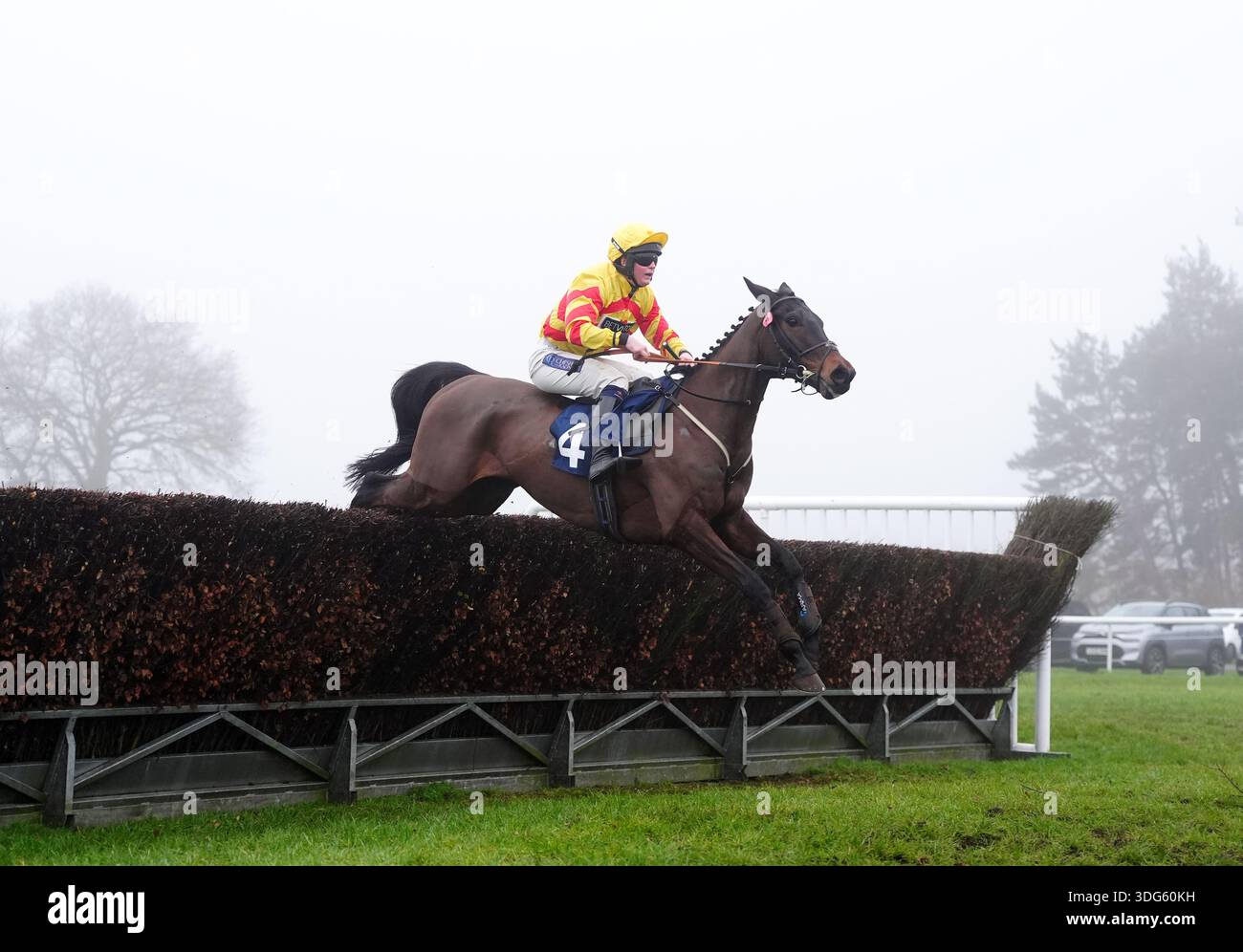 Move With The Beat ridden by Isabelle Ryder on the way to winning ...