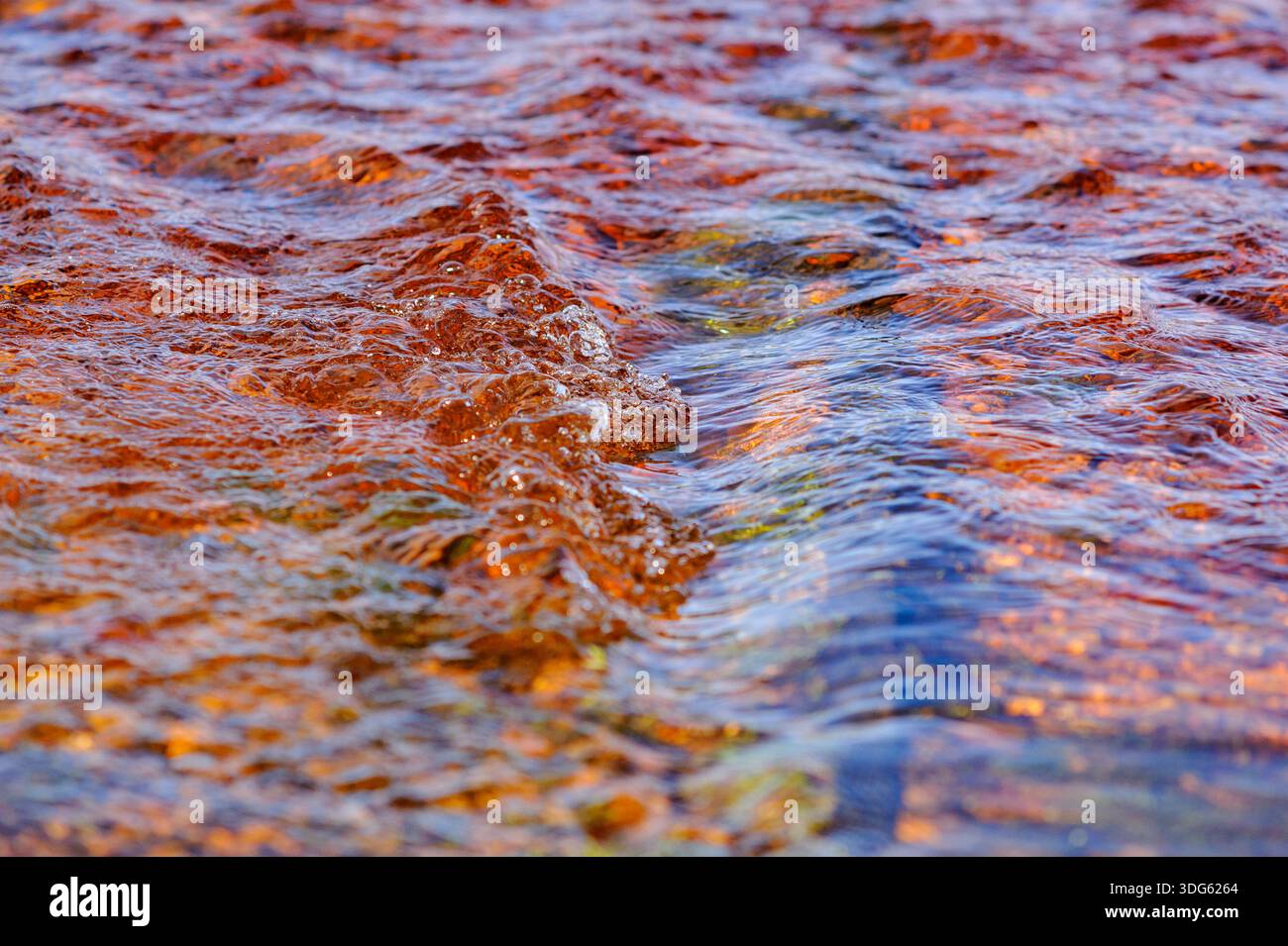 Babbling brook. Water in a stream, turbulent river water Stock Photo ...