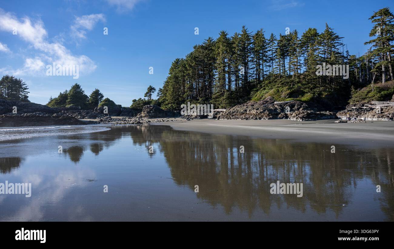 Tranquil beach with calm water reflecting a forest under a clear blue ...