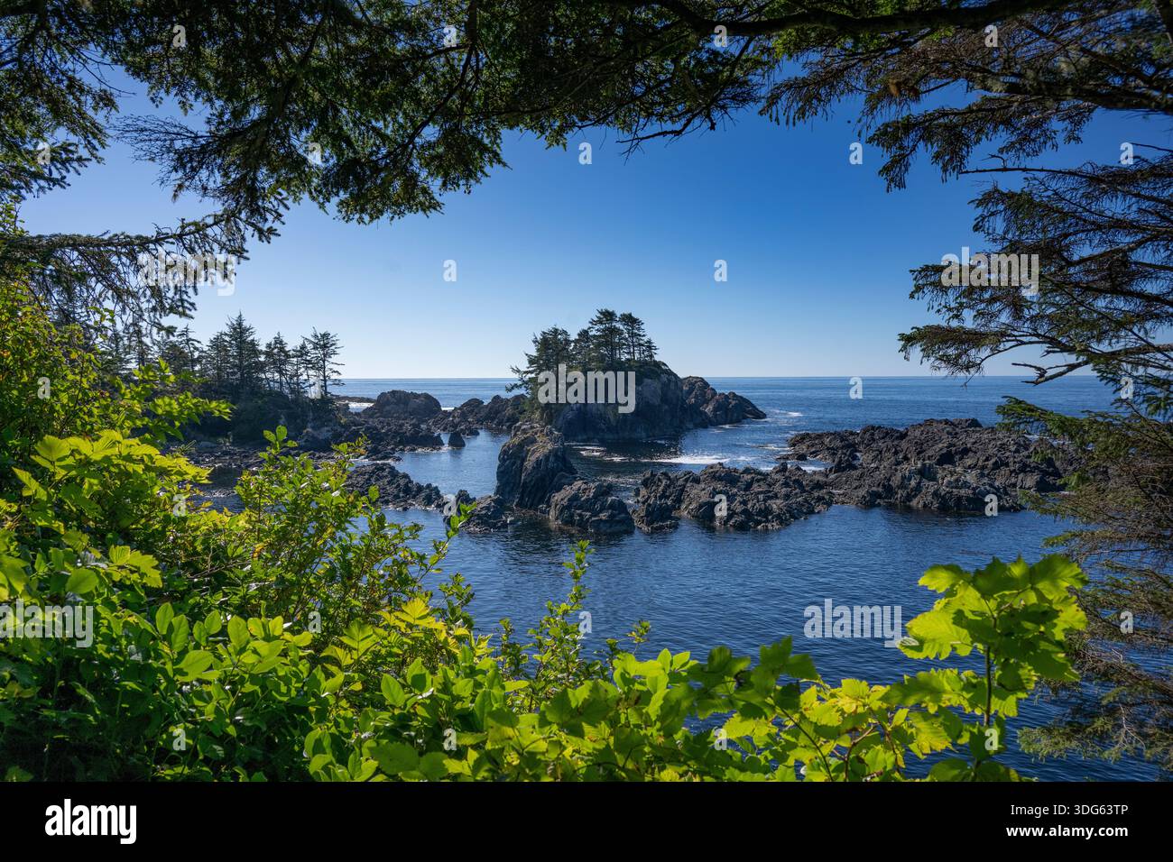 Rocky island surrounded by ocean framed by lush green trees and clear ...