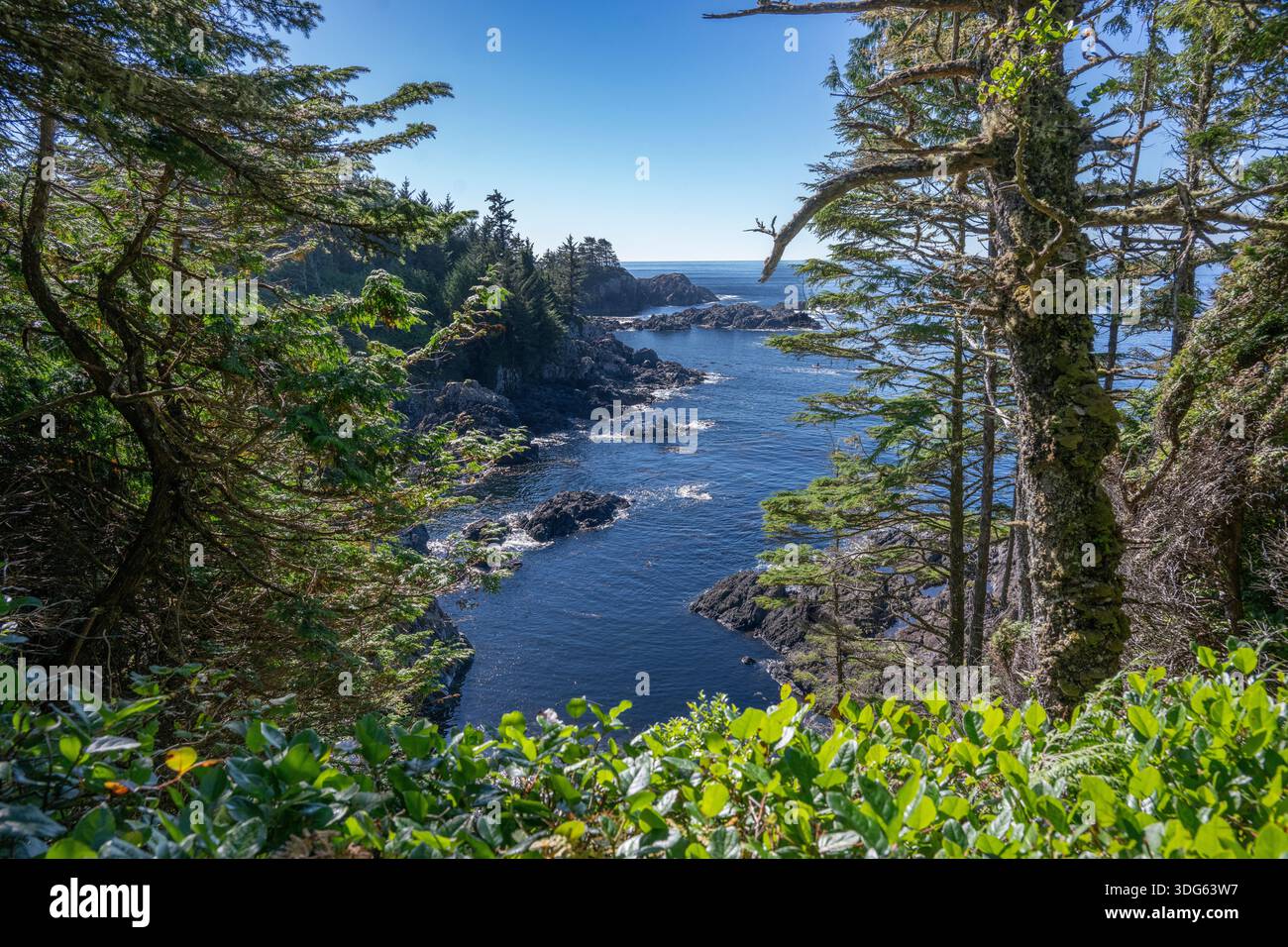 Scenic coastal landscape with lush greenery and rocky shoreline under a ...