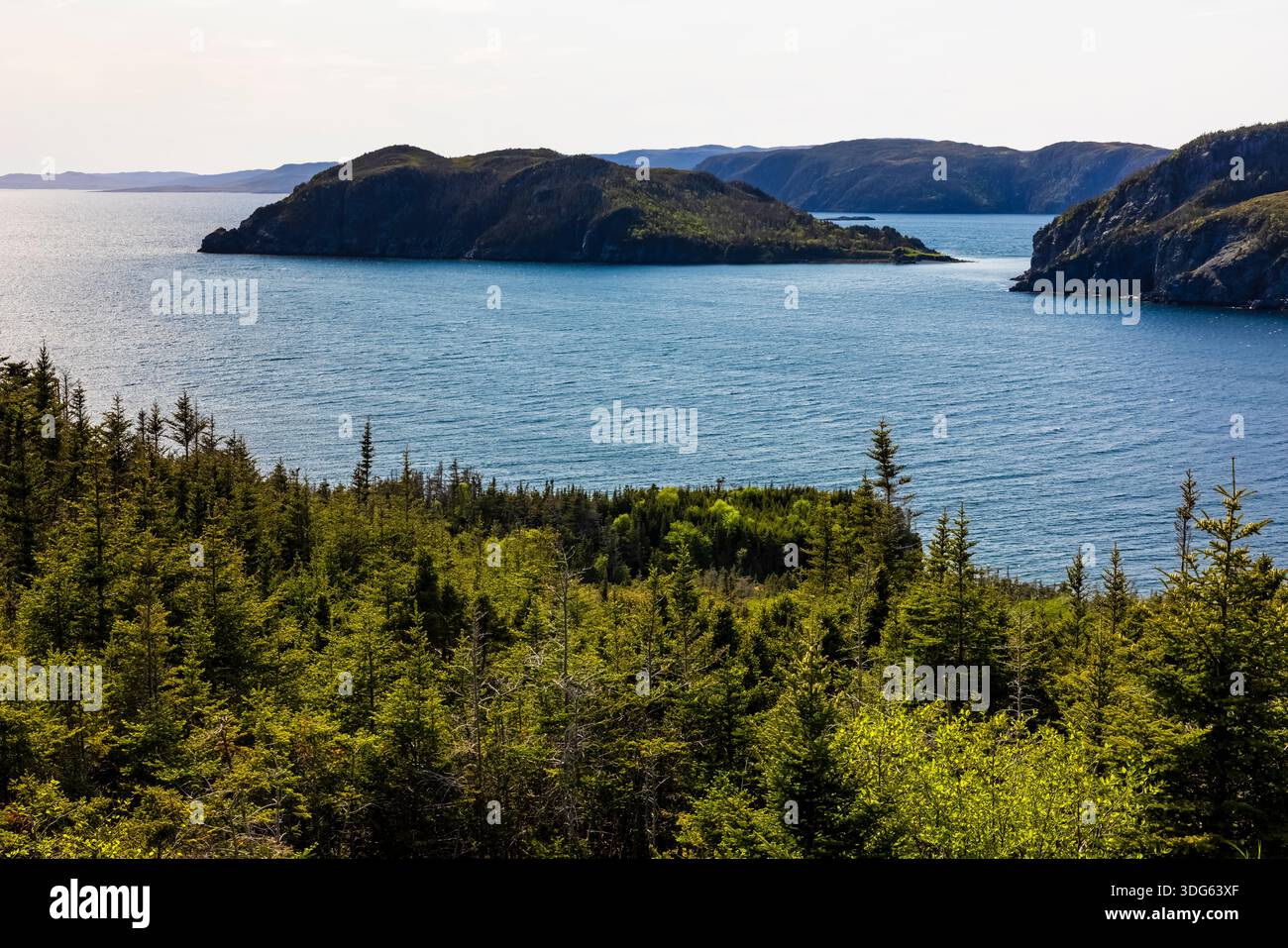 Mccallum island hi-res stock photography and images - Alamy