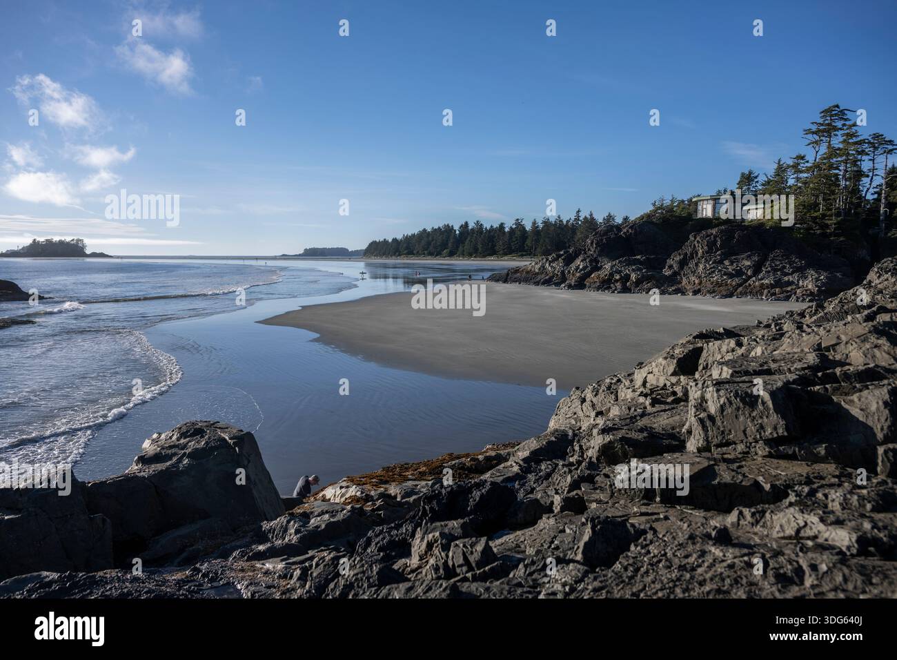 Rocky coast with sandy beach, calm waves, clear blue sky, and forested ...