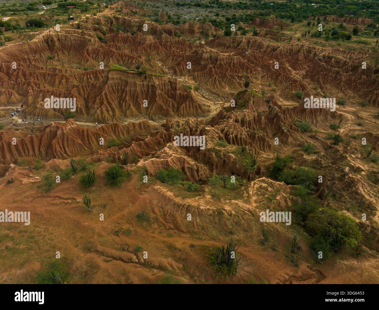 Aerial view of rugged, red desert terrain with sparse green vegetation ...