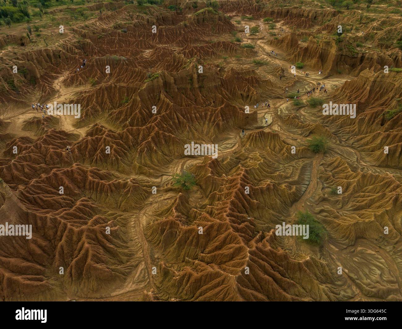 Aerial view of rugged, textured brown landscape with scattered green ...