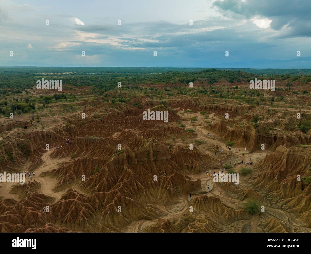 Aerial view of rugged, red desert terrain with sparse green vegetation ...