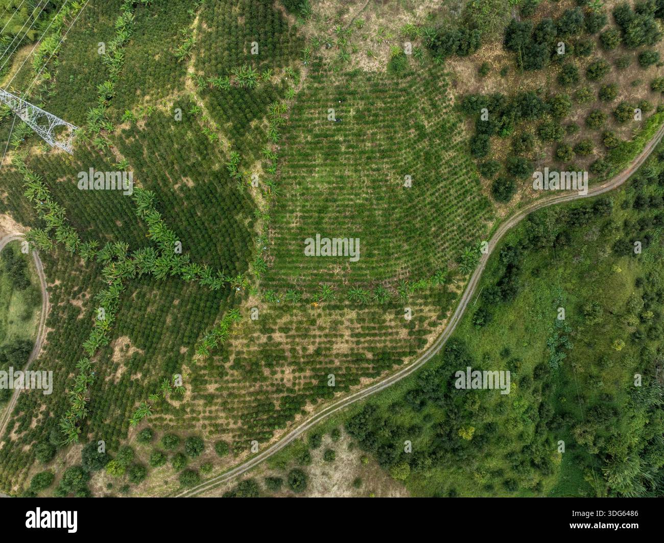 Aerial view of lush agricultural fields with diverse patterns and ...
