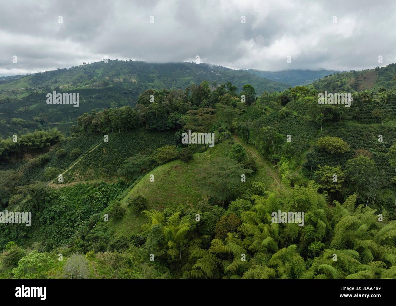 Lush green hills and dense forests under an overcast sky. Santander ...