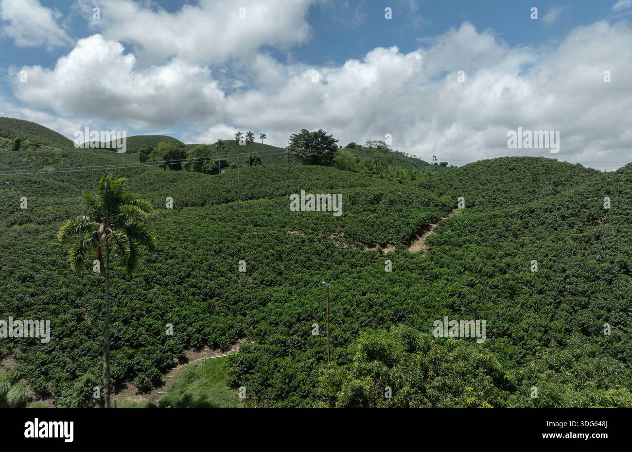 Lush green hills covered with dense foliage under a partly cloudy blue ...