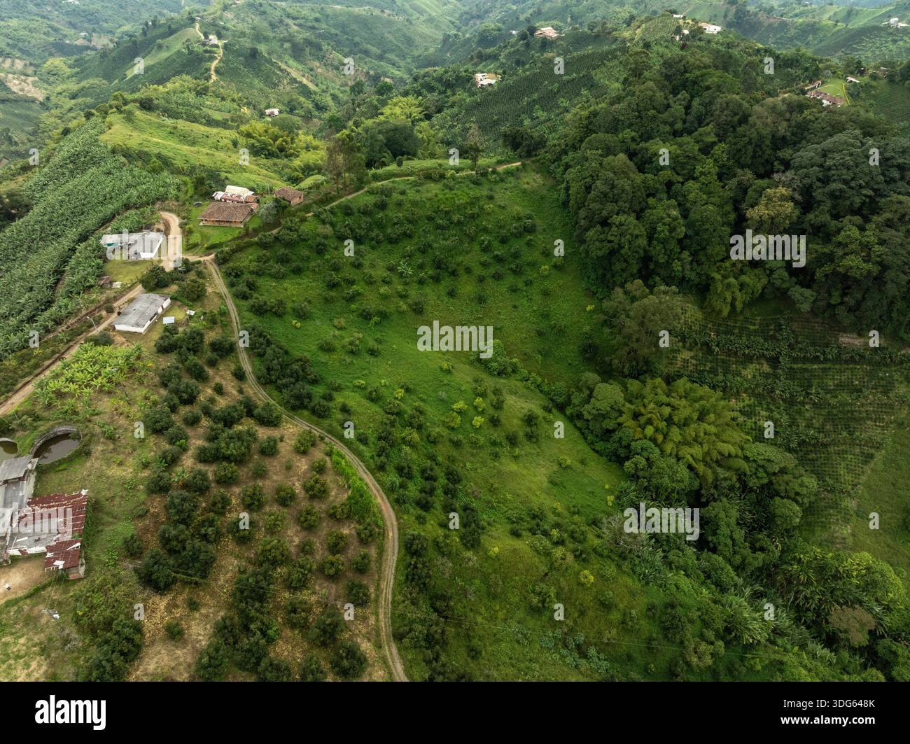Lush green landscape with hilly terrain, scattered trees, and a few ...