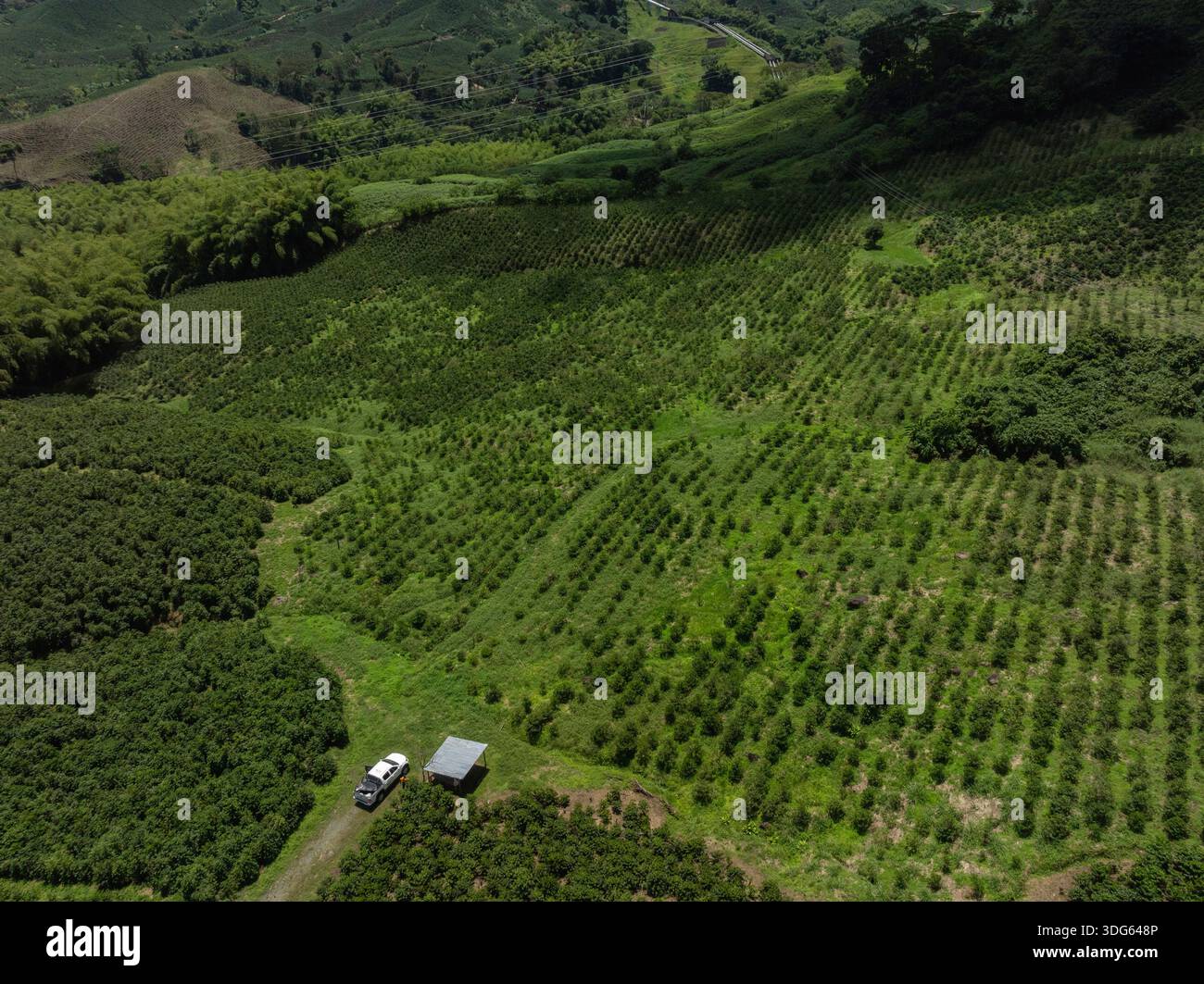 Aerial view of lush green farmland with a small building and vehicle in ...