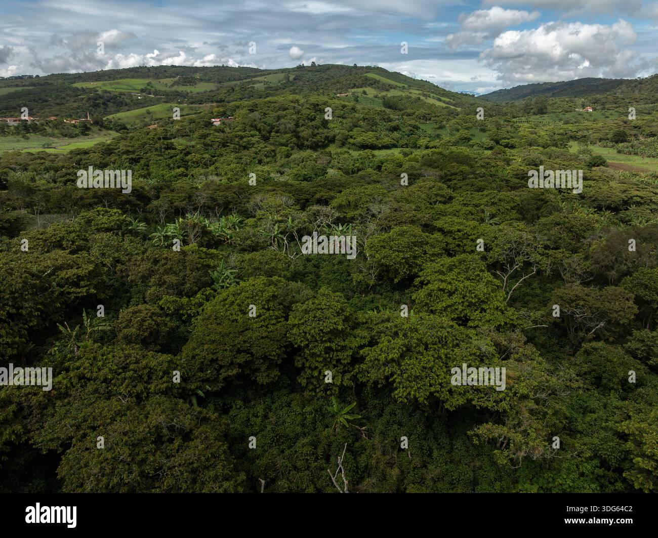 Lush green forest landscape stretches across rolling hills under a ...